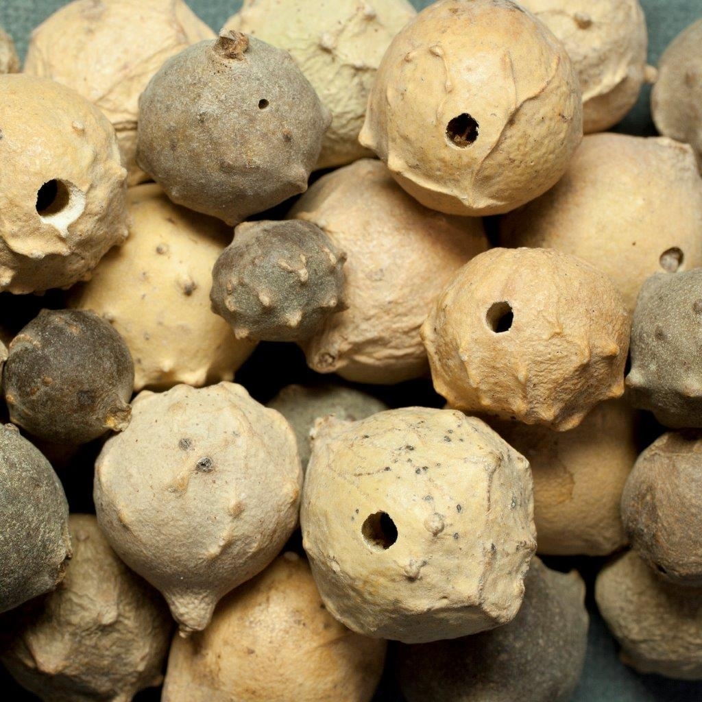 TRADEATLAS | COMPANY INFORMATION: BAYAMTAŞ İTHALAT İHRACAT A.Ş.